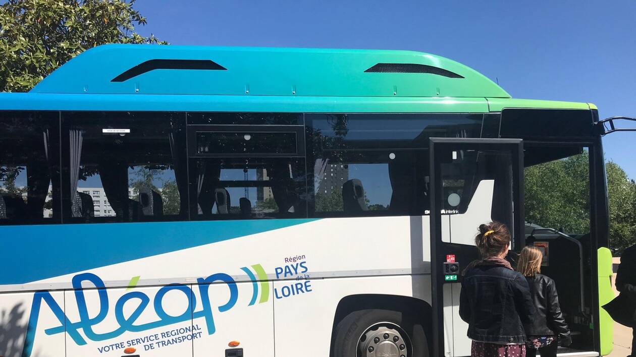 Cars et lignes Aléop sur le territoire - Pornic agglo Pays de Retz